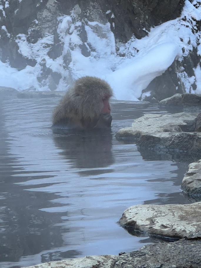 What Could be Better Than Hot Tubs and Snow Monkeys - The Travel Oracle